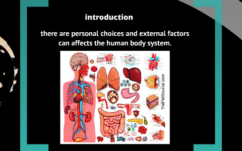 the human body's interacting systems are affected in many ways by ...
