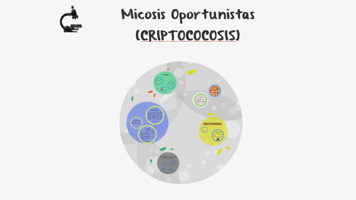 Micosis Oportunistas (CRIPTOCOCOSIS) by Ale Santiago on Prezi