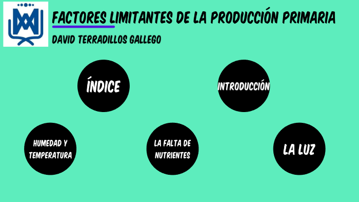 FACTORES LIMITANTES DE LA PRODUCCIÓN PRIMARIA by David Terradillos ...