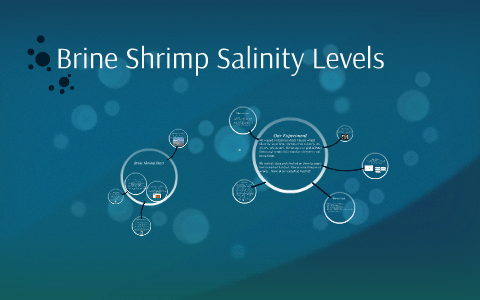 Brine Shrimp Salinity Levels by Yasmeen Khajah on Prezi