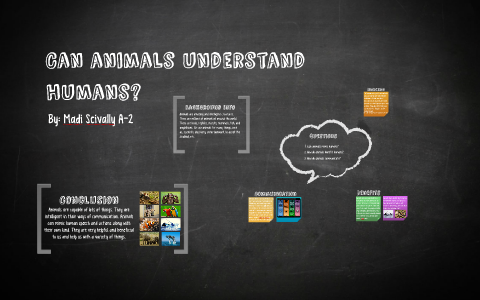 Can animals understand humans? by Madison Scivally on Prezi