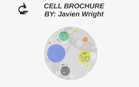 CELL BROCHURE by Javien Wright on Prezi