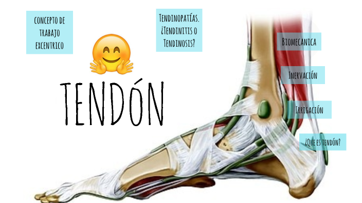 Tendon by Emmanuel García Blanco on Prezi
