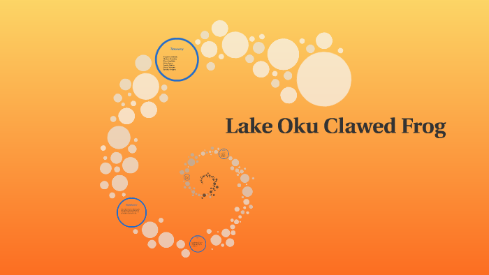 Lake Oku Clawed Frog by Emily Gehrke on Prezi