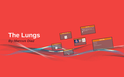 The Lungs by marcus diaz on Prezi