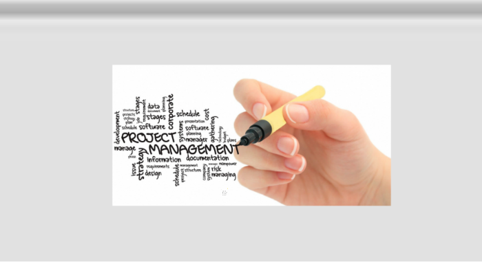 Project Model Canvas by Estefani Machado on Prezi