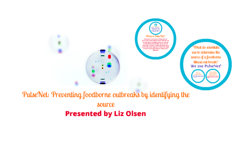 PulseNet: Preventing foodborne outbreaks by identifying the source by ...