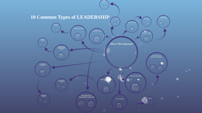 10 Common Types of LEADERSHIP by Sam Giuffre on Prezi