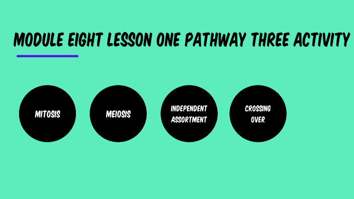 Module Eight Lesson One Pathway Three Activity by Ryan Hallihan on Prezi