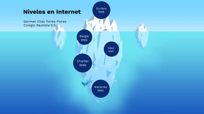 Niveles de Internet by German Elias Torres Flores
