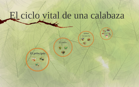 El ciclo vital de una calabaza by Fallon Hovland on Prezi