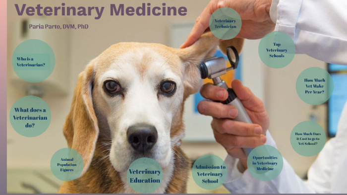 Veterinary Medicine by Paria Parto on Prezi
