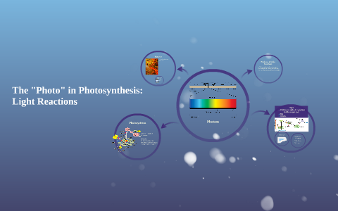 The "Photo" in Photosynthesis: Light Reactions by on Prezi