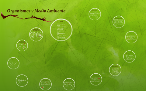 Organismos y Medio Ambiente by Tomás Saavedra Poblete