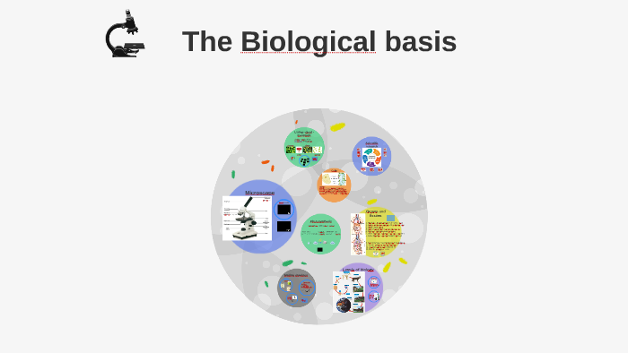 Class 1: The Biological basis by Saskia Corpelijn - Kersemakers on Prezi