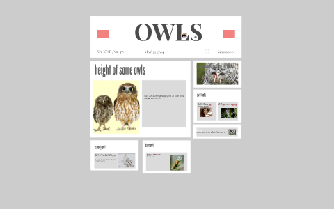 OWLS by christopher grad on Prezi