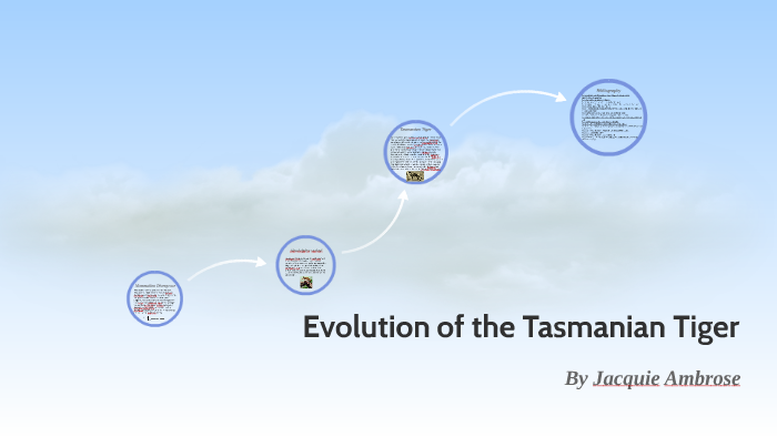 Evolution of the Tasmanian Tiger by Jacquie Ambrose on Prezi