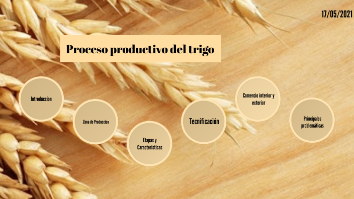 Proceso productivo del Trigo by Paula Kocjancic on Prezi