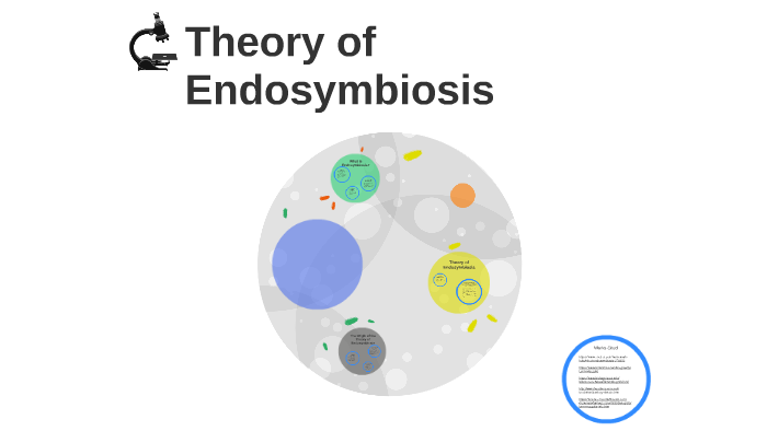 Theory of Endosymbiosis by Flamingo Flame on Prezi