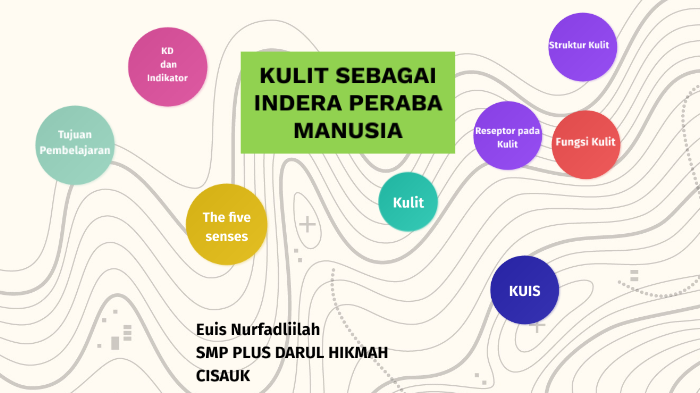 TUGAS PREZI : KULIT SEBAGAI INDERA PERABA MANUSIA by euis nurfadliilah ...