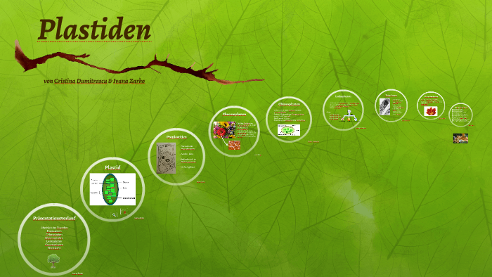 Plastiden - Biologiepraesentation by Ivana Zarko on Prezi