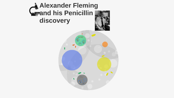 Alexander Fleming and his Penicillin discovery by Laila Sami on Prezi