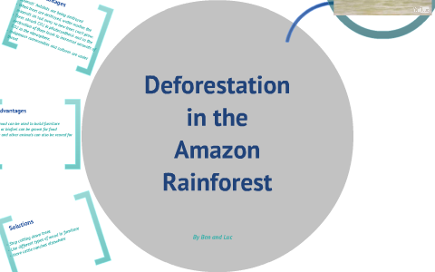 Deforestation in the Amazon Rainforest by Benjamin Wilding on Prezi