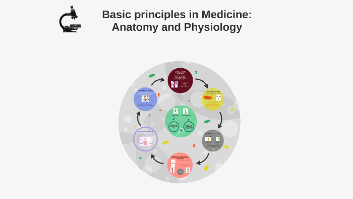 Basic principles in Medicine: Anatomy and Physiology by Noelia Barceló ...