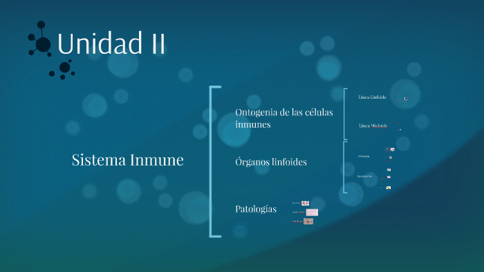 Unidad II: Sistema Inmune by Miriam Fernández on Prezi