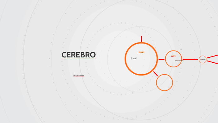 Cerebro By On Prezi