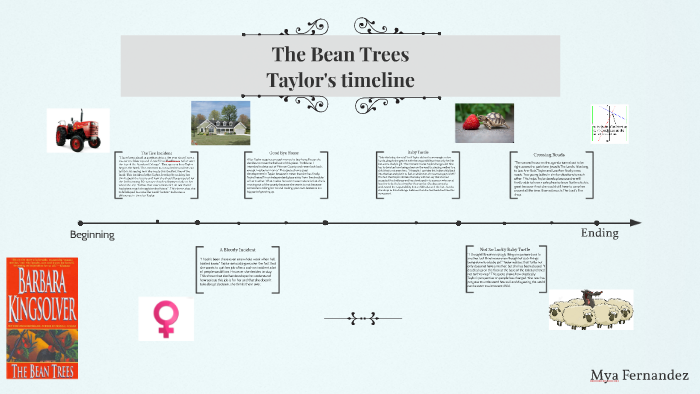 The Bean Trees Taylor Timeline by Hazzel Ponce on Prezi
