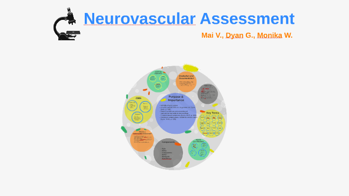 Neurovascular Checks by Mai Vue on Prezi