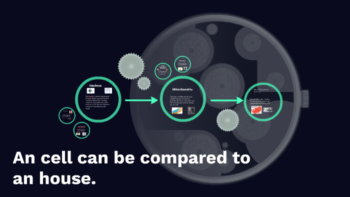 An cell can be compared to an house. by Ivory Gallop on Prezi