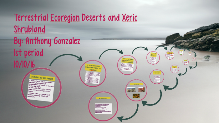 Deserts and xeric Shrubland by Anthony Gonzalez on Prezi