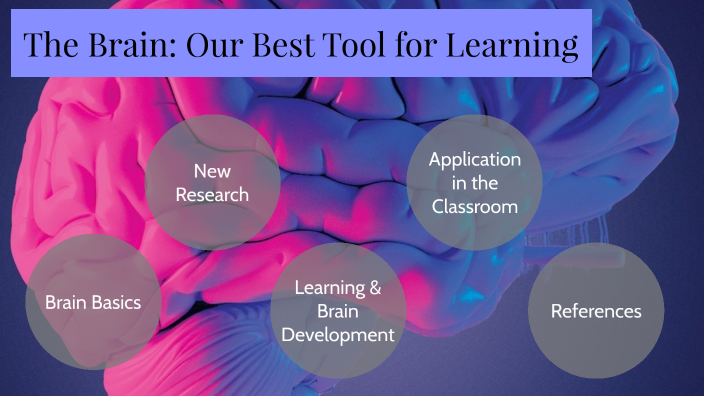 The Brain: Our Best Tool for Learning by Amanda Hall on Prezi