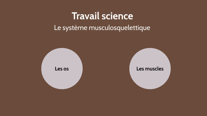 Le système musculosquelettique by Léa Tourangeau on Prezi