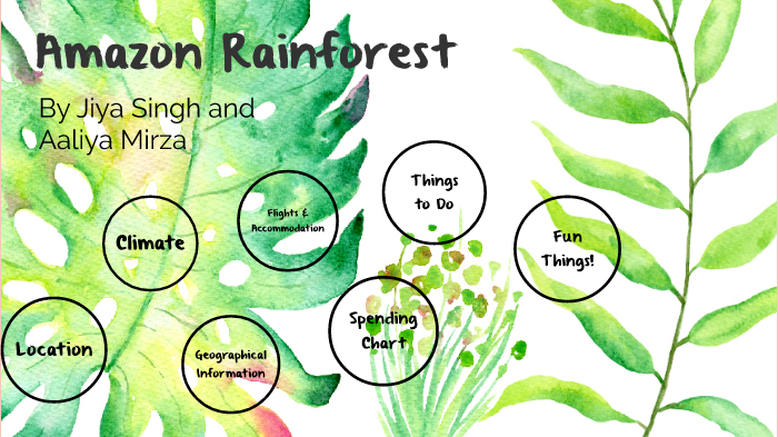 Aaliya and Jiya Rainforest by Aaliya Mirza on Prezi