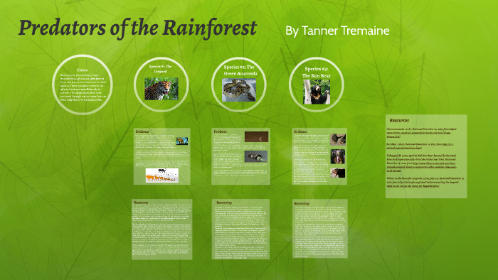 Predators of the Rainforest by Tanner Tremaine on Prezi