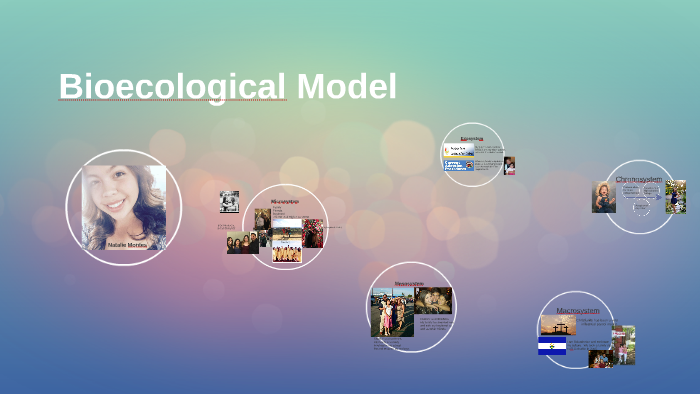 Bioecological Model by Natalie Montes on Prezi