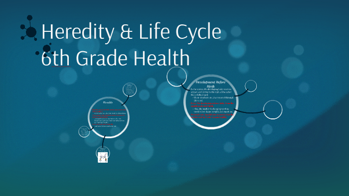 Heredity & Life Cycle by Morgan Reed on Prezi