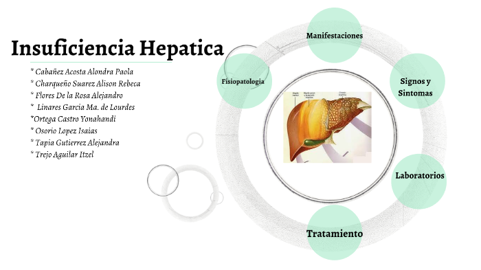 insuficiencia hepatica by alison suarez on Prezi