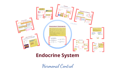 IB Biology: Endocrine System by Michelle Durham on Prezi