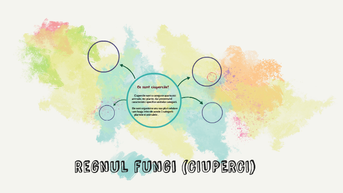 Regnul fungi (CIUPERCI) by Bianca Georgiana on Prezi