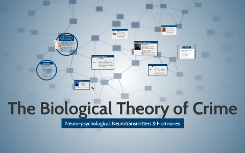 The Biological Theory of Crime by Katy Moran on Prezi