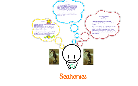 Seahorses(science adaptations) by Thomas TY on Prezi