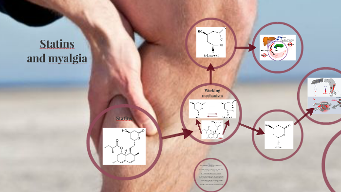 Statins and Myalgia by Demi van Santvliet on Prezi