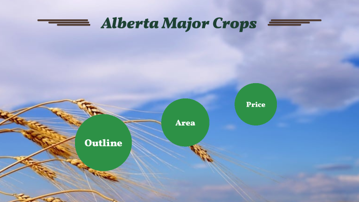 Alberta Major Crops by Agribusiness Application on Prezi