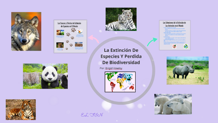 La Extincion De Especies Y Perdida De Biodiversidad by Brigid Howley on ...