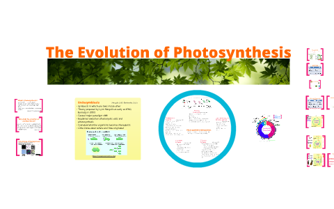 Evolution of Photosynthesis by Delorianne Sander on Prezi