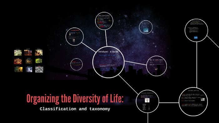 Organizing the Diversity of Life: by Scott Hayden on Prezi